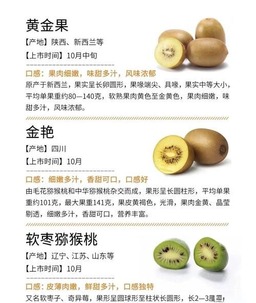 猕猴桃的功效与作用及禁忌_什么人不能吃-第2张图片-山城妙识