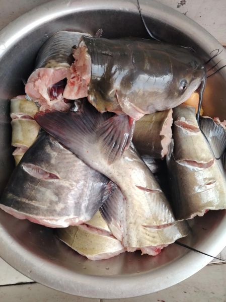 乌江鱼怎么做才好吃_乌江鱼最正宗的做法-第3张图片-山城妙识 乌江鱼怎么做才好吃_乌江鱼最正宗的做法-第3张图片-山城妙识