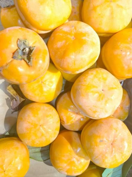 秋天吃什么水果_秋天适合吃什么水果-第1张图片-山城妙识 秋天吃什么水果_秋天适合吃什么水果-第1张图片-山城妙识