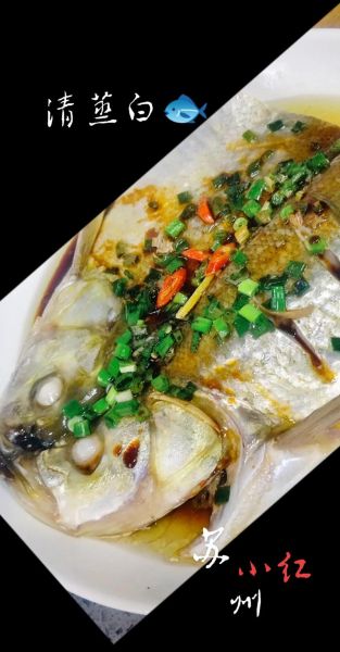 清蒸白鲢怎么做_清蒸白鲢蒸多久才嫩-第1张图片-山城妙识 清蒸白鲢怎么做_清蒸白鲢蒸多久才嫩-第1张图片-山城妙识