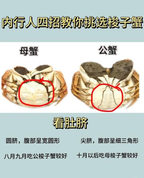 螃蟹哪些部位能吃_螃蟹怎么吃图解-第3张图片-山城妙识