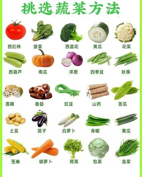 蔬菜种类大全介绍_常见蔬菜有哪些-第3张图片-山城妙识