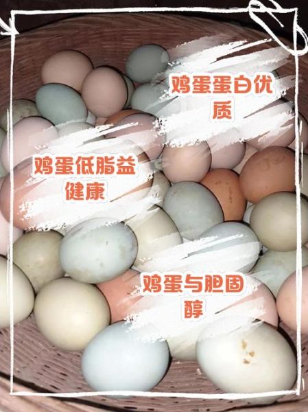 鸡蛋一天吃几个合适_鸡蛋蛋白质含量高吗-第2张图片-山城妙识 鸡蛋一天吃几个合适_鸡蛋蛋白质含量高吗-第2张图片-山城妙识