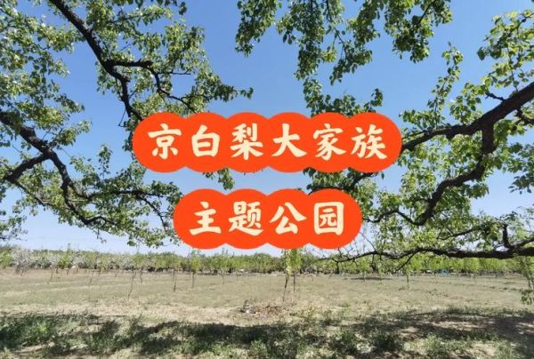 京白梨大家族主题公园在哪_门票多少钱-第1张图片-山城妙识