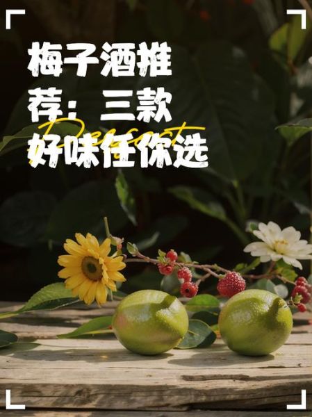 梅子酒哪个牌子好喝_梅子酒怎么选-第2张图片-山城妙识 梅子酒哪个牌子好喝_梅子酒怎么选-第2张图片-山城妙识