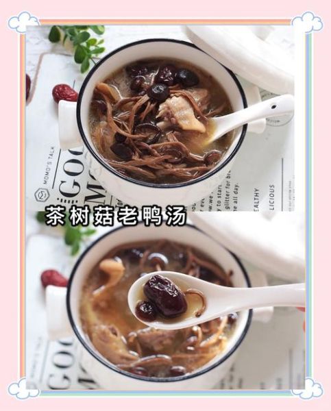 茶树菇老鸭汤上火吗_降火还是上火-第2张图片-山城妙识