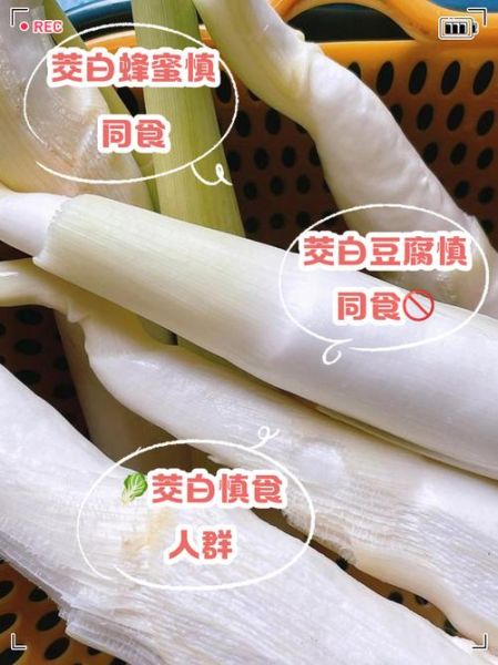 茭白什么人不能吃_茭白功效与作用禁忌-第1张图片-山城妙识 茭白什么人不能吃_茭白功效与作用禁忌-第1张图片-山城妙识