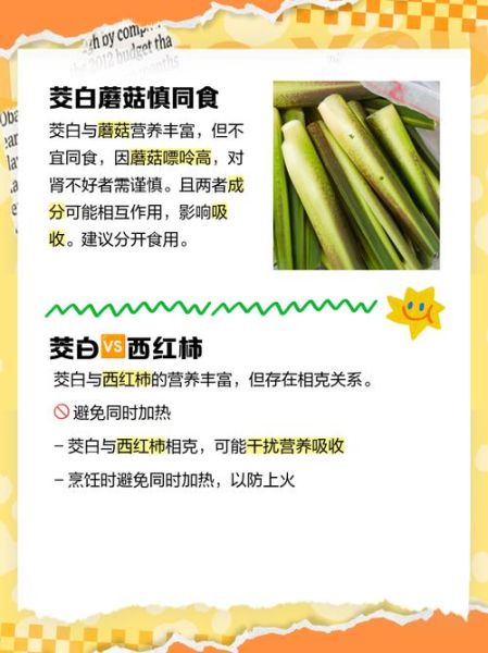 茭白什么人不能吃_茭白功效与作用禁忌-第3张图片-山城妙识 茭白什么人不能吃_茭白功效与作用禁忌-第3张图片-山城妙识