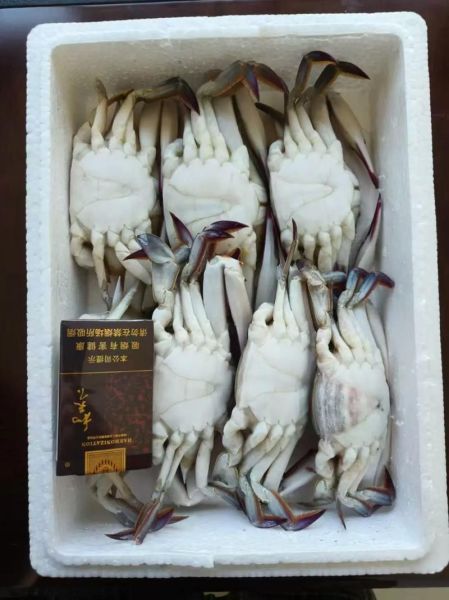 活螃蟹放带冰的泡沫箱能活多久_运输注意事项-第2张图片-山城妙识 活螃蟹放带冰的泡沫箱能活多久_运输注意事项-第2张图片-山城妙识