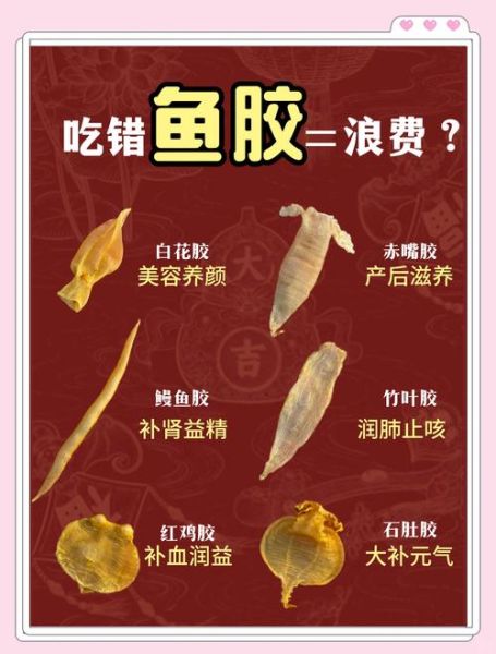 鱼胶哪种好排行榜_鱼胶怎么选才正宗-第2张图片-山城妙识