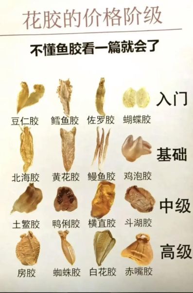 鱼胶哪种好排行榜_鱼胶怎么选才正宗-第3张图片-山城妙识