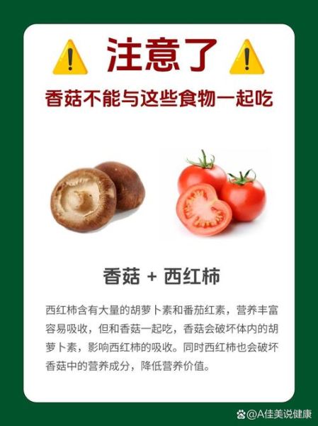 炒香菇隔夜能吃吗_隔夜香菇中毒风险-第1张图片-山城妙识 炒香菇隔夜能吃吗_隔夜香菇中毒风险-第1张图片-山城妙识