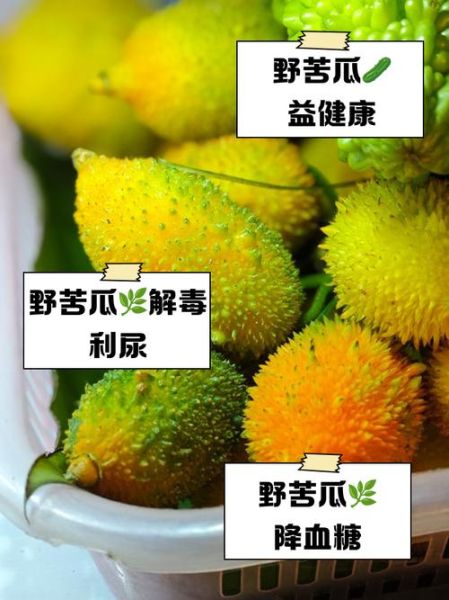 山苦瓜图片_山苦瓜功效与作用-第2张图片-山城妙识 山苦瓜图片_山苦瓜功效与作用-第2张图片-山城妙识