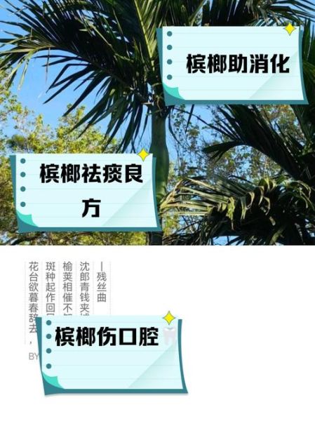 男人吃槟榔的危害有哪些_长期嚼槟榔会阳痿吗-第3张图片-山城妙识