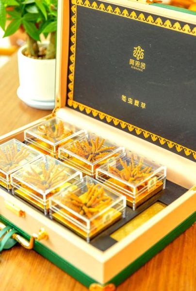 老年人适合吃什么补品_老年人补品推荐-第1张图片-山城妙识