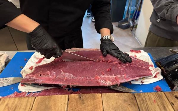 冷冻金枪鱼10块一斤_为什么这么便宜-第1张图片-山城妙识