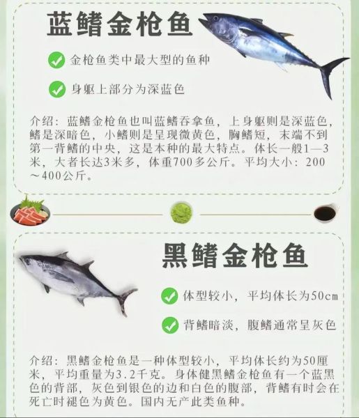 冷冻金枪鱼10块一斤_为什么这么便宜-第2张图片-山城妙识