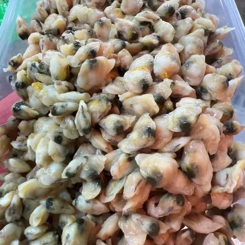 海瓜子肉发白_还能吃吗-第1张图片-山城妙识