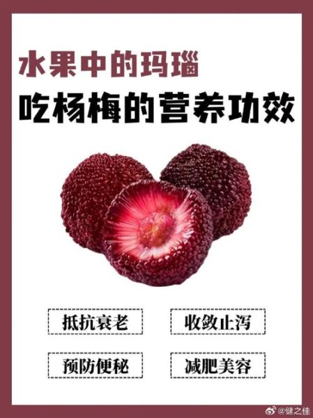 新鲜杨梅的功效与作用_怎么吃最好-第2张图片-山城妙识 新鲜杨梅的功效与作用_怎么吃最好-第2张图片-山城妙识