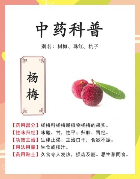 新鲜杨梅的功效与作用_怎么吃最好-第3张图片-山城妙识 新鲜杨梅的功效与作用_怎么吃最好-第3张图片-山城妙识