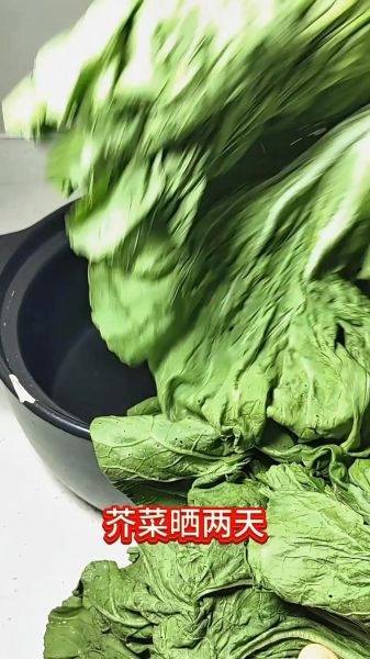 老坛酸菜怎么腌制_正宗老坛酸菜做法-第1张图片-山城妙识 老坛酸菜怎么腌制_正宗老坛酸菜做法-第1张图片-山城妙识