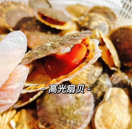 蒜蓉扇贝酱料怎么调_蒜蓉扇贝酱料的配方比例-第3张图片-山城妙识 蒜蓉扇贝酱料怎么调_蒜蓉扇贝酱料的配方比例-第3张图片-山城妙识