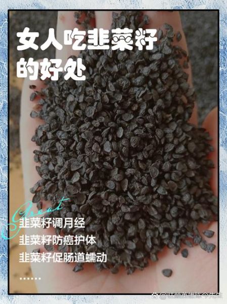 炒韭菜籽的功效与作用_炒韭菜籽的禁忌有哪些-第1张图片-山城妙识