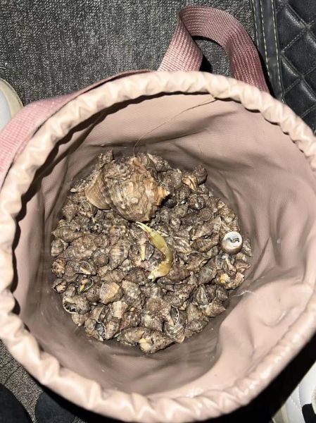 螃蟹有几条腿_螃蟹腿断了还能长出来吗-第3张图片-山城妙识