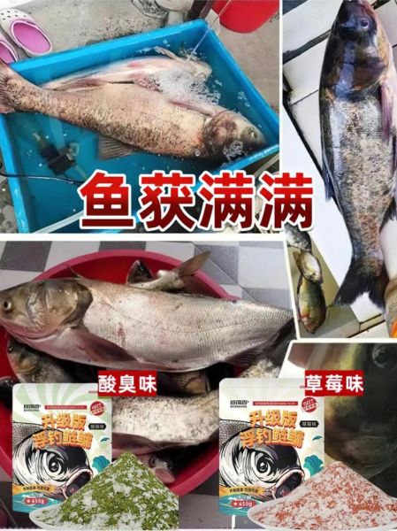 自制钓鲢鳙饵料配方_鲢鳙饵料怎么做才好用-第3张图片-山城妙识