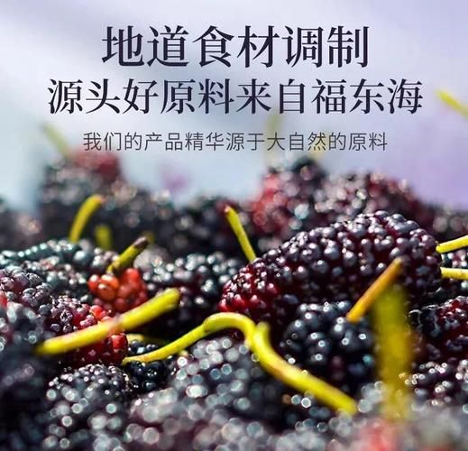 桑椹膏的功效与禁忌_适合哪些人吃-第3张图片-山城妙识 桑椹膏的功效与禁忌_适合哪些人吃-第3张图片-山城妙识