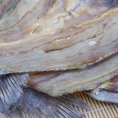 鮸鱼多少钱一斤_鮸鱼价格行情-第1张图片-山城妙识