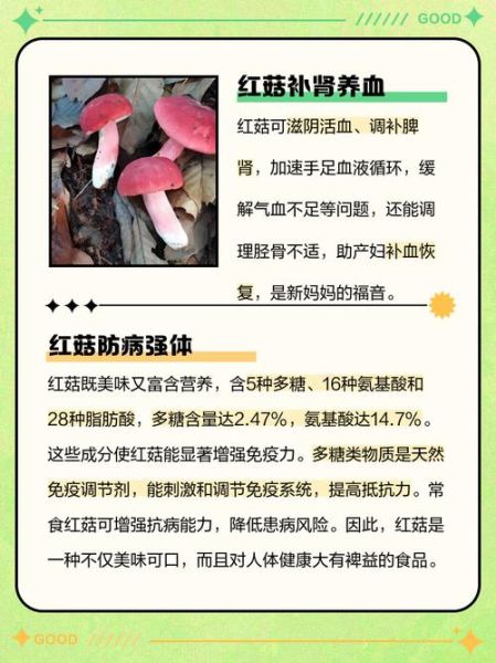 大红菇的功效与作用_大红菇怎么吃最营养-第2张图片-山城妙识 大红菇的功效与作用_大红菇怎么吃最营养-第2张图片-山城妙识