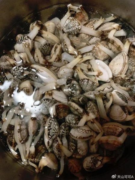 死花甲死了什么样子_死花甲辨别方法-第2张图片-山城妙识 死花甲死了什么样子_死花甲辨别方法-第2张图片-山城妙识