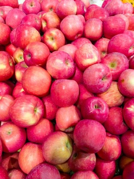 冬季时令水果有哪些_冬天吃什么水果最健康-第1张图片-山城妙识 冬季时令水果有哪些_冬天吃什么水果最健康-第1张图片-山城妙识