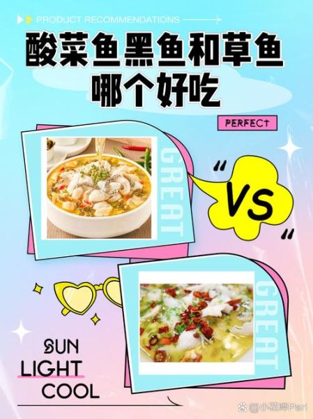 酸菜鱼用什么鱼比较好_黑鱼还是草鱼-第1张图片-山城妙识