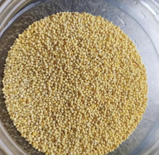 黄米年糕怎么做_黄米年糕的家常做法-第2张图片-山城妙识