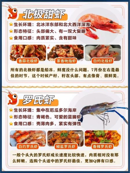 虾米解说大全在哪看_虾米解说怎么下载-第1张图片-山城妙识