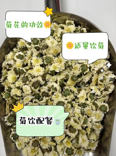 贡菊和胎菊哪个更去火_贡菊胎菊去火效果对比-第1张图片-山城妙识 贡菊和胎菊哪个更去火_贡菊胎菊去火效果对比-第1张图片-山城妙识