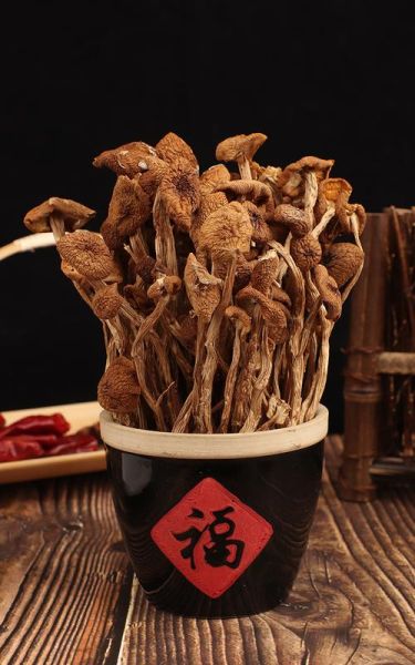 茶树菇产地主要在哪个省_茶树菇哪个省最正宗-第1张图片-山城妙识