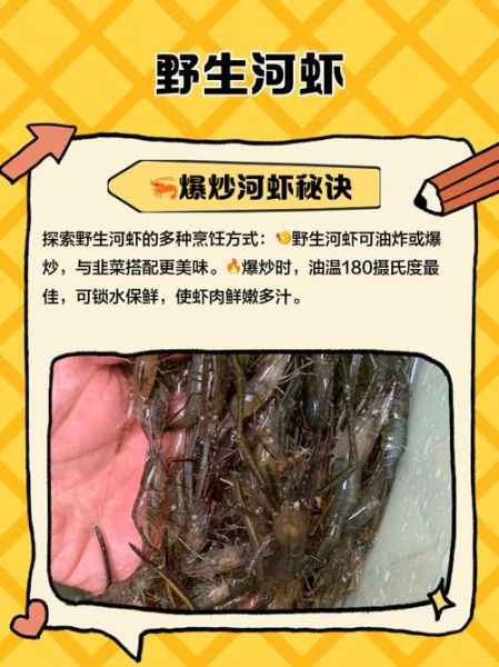 河虾的功效与禁忌_什么人不能吃河虾-第1张图片-山城妙识