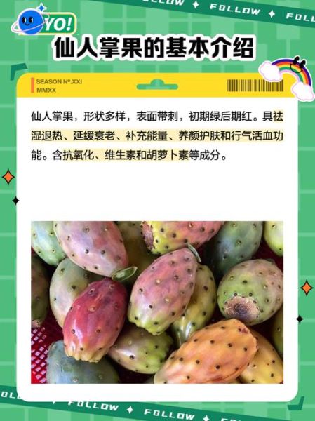 仙人掌果实怎么吃_仙人掌果实正确吃法-第2张图片-山城妙识