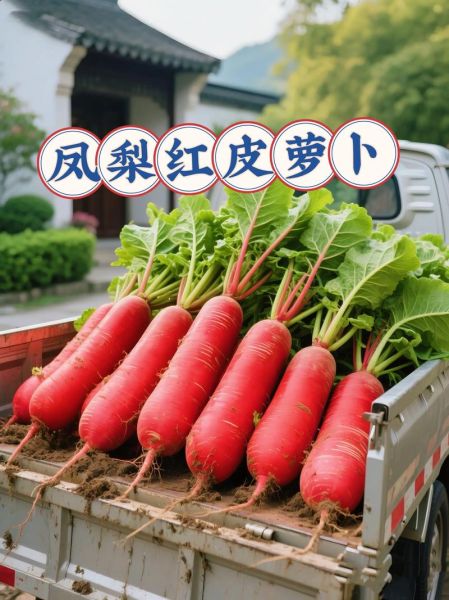 红皮萝卜怎么做好吃_家常做法大全-第2张图片-山城妙识