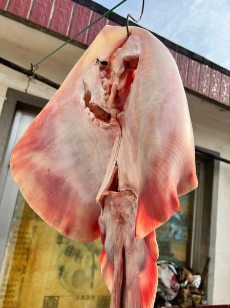 魔鬼鱼怎么做好吃_魔鬼鱼做法大全-第1张图片-山城妙识