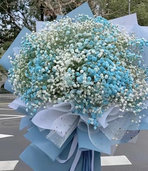 满天星花语是什么_满天星适合送什么人-第2张图片-山城妙识