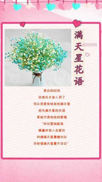 满天星花语是什么_满天星适合送什么人-第1张图片-山城妙识