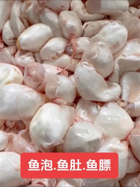 目鱼肚怎么泡发_目鱼肚和鱿鱼肚区别-第2张图片-山城妙识