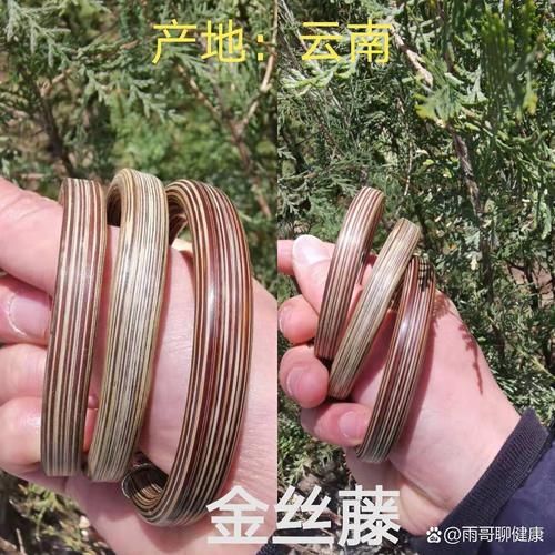 鸡血藤图片长什么样_如何辨别真假鸡血藤-第2张图片-山城妙识