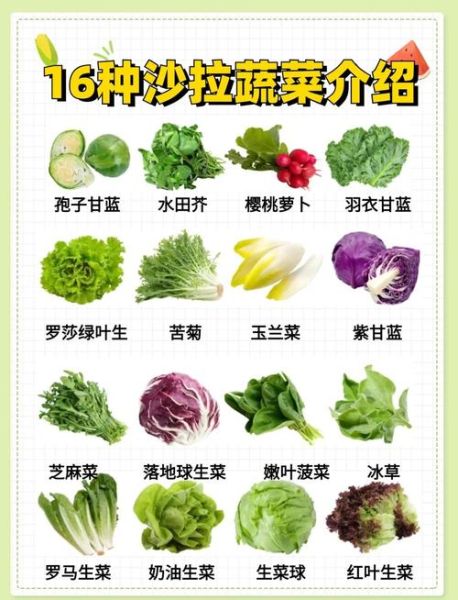 蔬菜沙拉食材怎么选_蔬菜沙拉食材有哪些-第1张图片-山城妙识