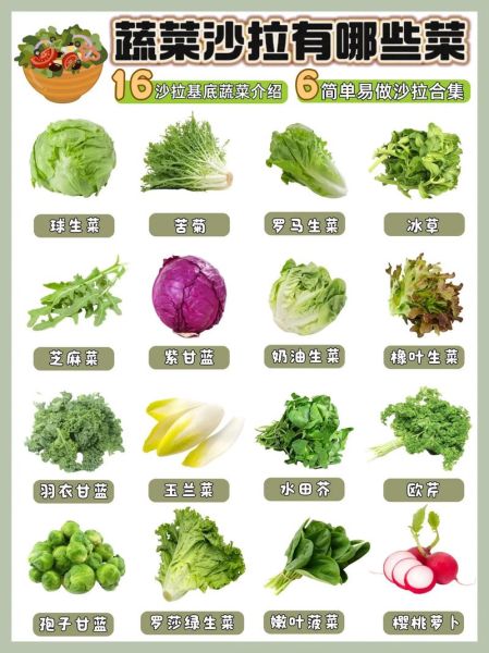 蔬菜沙拉食材怎么选_蔬菜沙拉食材有哪些-第2张图片-山城妙识