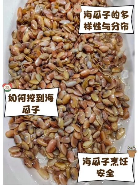 海瓜子开口了还能吃吗_如何判断是否变质-第1张图片-山城妙识